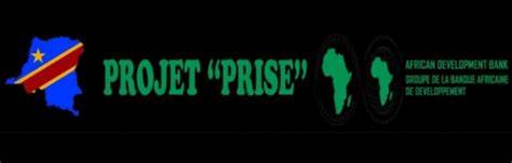 Projet de Renforcement des Infrastructures Socio Economiques dans la ...